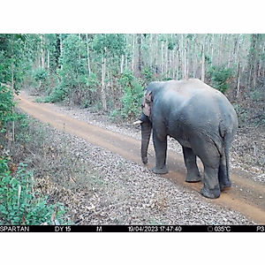 Spartan Camera Gocam 4G LTE Trail Camera, Free Roaming, Remotely Update Settings, HD Video, Photo, Blackout Flash, Hunting, Security, Surveillance + Steel Case + 32GB SD Card