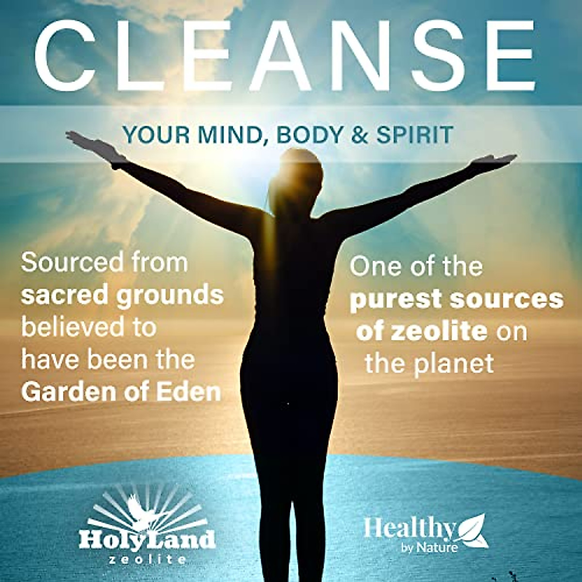 HolyLand Zeolite Cleanse | Zeolite Detox Powder (400 Gram Value Size) | Natural, Activated Clinoptilolite - Supports Energy, Mental Focus, pH Balance, Immune Defense, & Optimal Gut Health