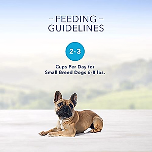 Blue Buffalo Delights Natural Adult Small Breed Wet Dog Food Cup, Filet Mignon Flavor in Hearty Gravy 3.5-oz (Pack of 12)