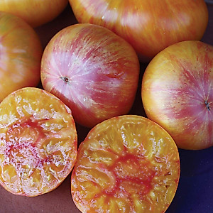 Burpee Patty's Striped Beefsteak Tomato Seeds 25 seeds