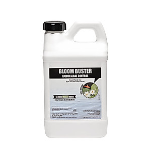 Bloom Buster Pond Algae Control - 64oz - Fast Acting Algaecide, Use in Fountains & Outdoor Ponds Containing Koi & Other Fish - EPA Registered
