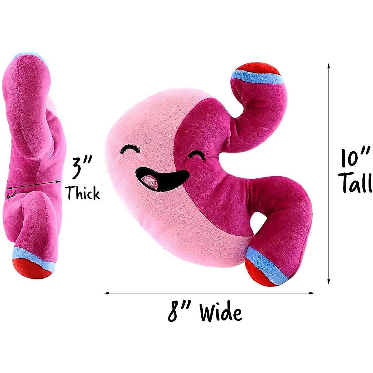 Attatoy Plush Stomach - Barry The Sleeve - 10-Inch After Surgery Pal, Bariatric Gastric Bypass Sleeve; Surgery Education, Surgeon Gift
