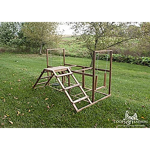 Coops & Feathers Chicken Activity Center-Play, Swing, & Roost-Includes Treat Basket (Large)