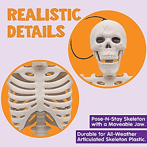 Kijamilee 38 Inch Skeleton Halloween Decor, Halloween Skeleton with Movable Joint, Skeleton for Halloween Haunted House Accessories Bar Graveyard, Party Supplies, Halloween Decoration Outdoor Skeleton