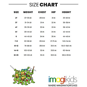 Teenage Mutant Ninja Turtles Leonardo Michelangelo Raphael Little Boys 3 Pack T-Shirts White/Gray/Green 7-8