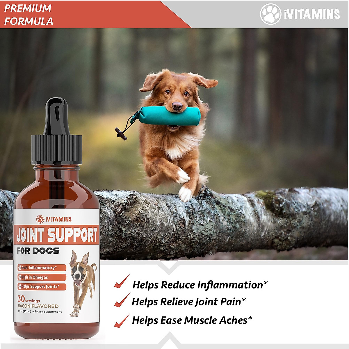 Joint Support Supplement for Dogs | Dog Hip and Joint Supplement | Supports Healthy Hips, Joints, & Much More | Dog Joint Supplement | Joint Supplement for Dogs | Joint Support for Dogs | 1 fl oz