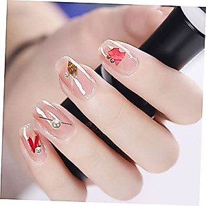 FRCOLOR 1 Set Nail Art Accessories Glitter Decor Glass Charms Pearl Trim Glitter Ornaments Nail Decor Shiny Manicures Ornaments Shinny Manicure Decor Nail Supplies Assorted Plastic