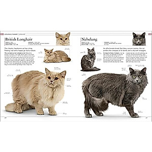 The Cat Encyclopedia: The Definitive Visual Guide (DK Pet Encyclopedias)