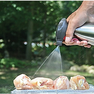 Evo Stainless Steel 16 Ounce Oil Sprayer