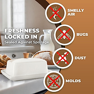 Flexzion Ceramic White European Butter Dish with Lid for Countertop (7 Inch) - Wide 2 Stick Double Butter Holder for Counter, Cream Cheese Container Storage Keeper