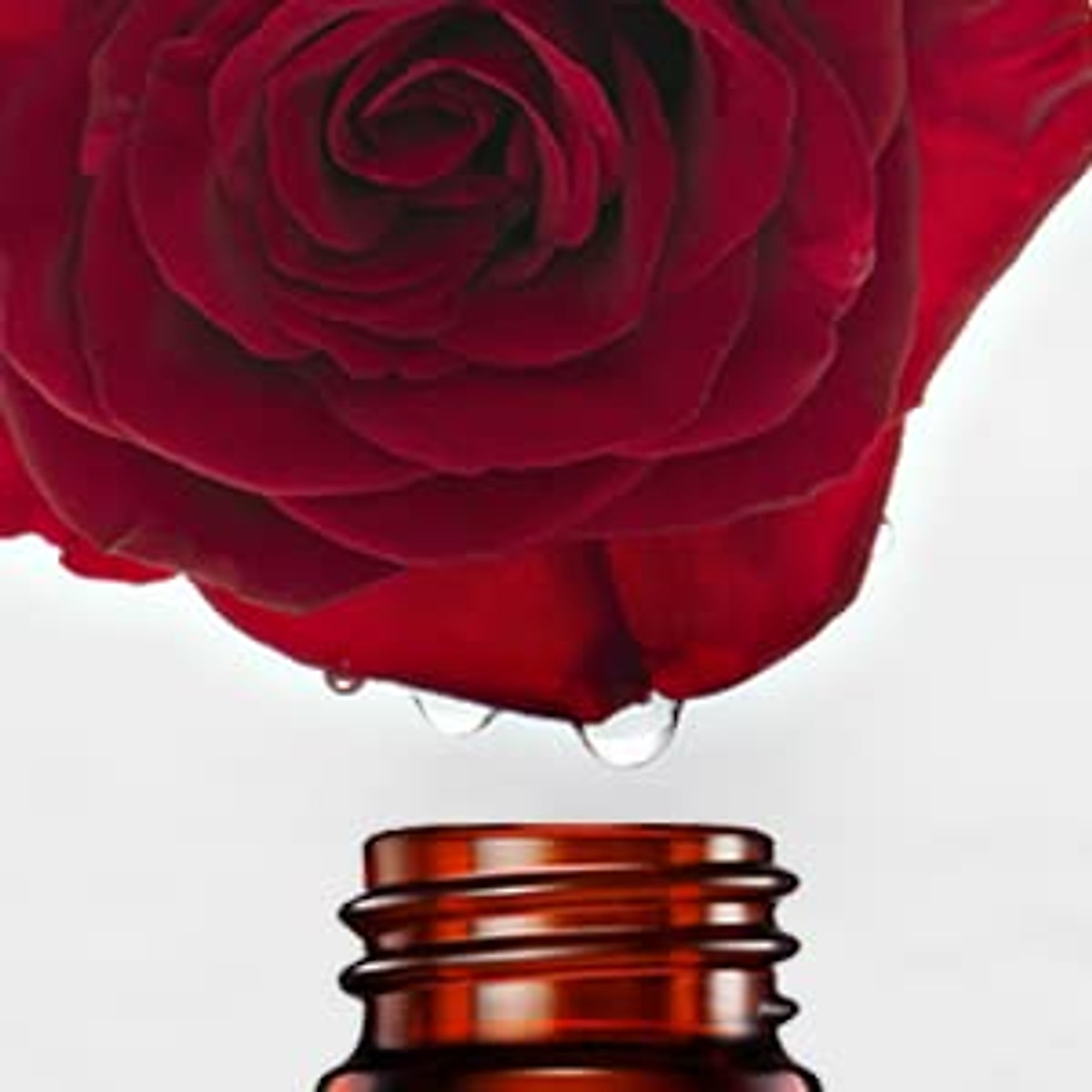 Rose Essential Oil 100% Pure Organic Rose Oil for Diffuser, Perfume, Massage, Aroma, Bath - 10ML