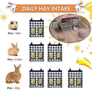 Xylitic Rabbit Hay Feeder Bag, 2 Holes Guinea Pig Hay Feeder, 600D Oxford Cloth Fabric Hay Bag for Rabbits, Hanging Bunny Hay Feeders, Large Capacity Rabbit Hay Bag for Guinea Pigs Chinchillas