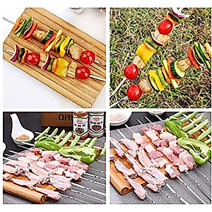 GEICO-MASTER Nano Portable Folding Outdoor Barbeque Charcoal & Gas BBQ Grill Oven GI Steel + 2 Nos of BBQ Still Needles with Wooden Handle(Kitchen Tools/Chhota Tandoor Stand)