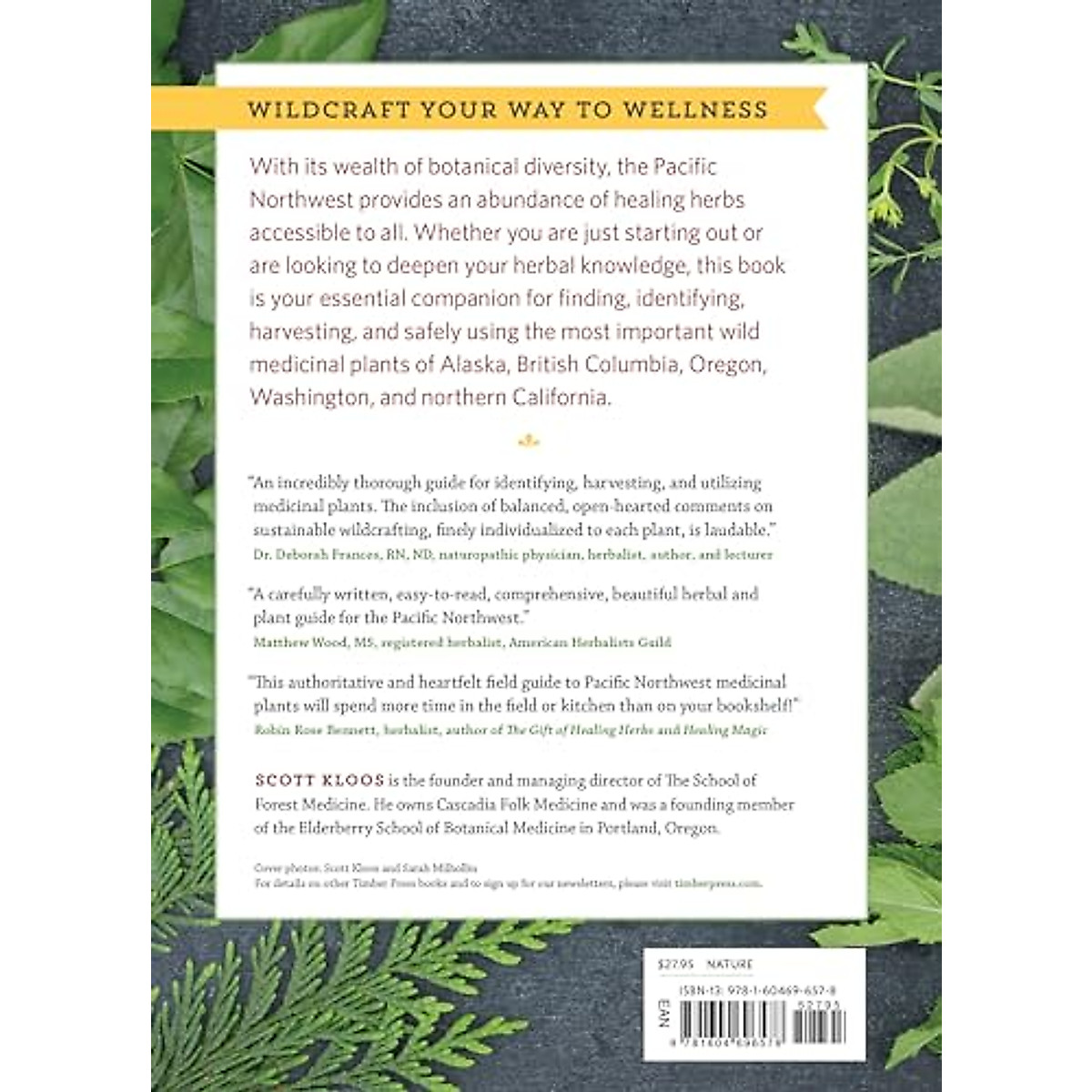 Pacific Northwest Medicinal Plants: Identify, Harvest, and Use 120 Wild Herbs for Health and Wellness (Medicinal Plants Series)