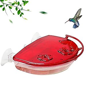 Hummingbird Window View Feeder Jewel Box Suction Cups Bird