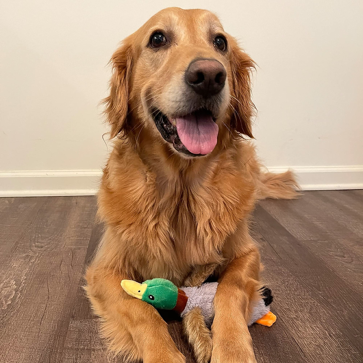 Supawdupaw Plush Duck Chew Toy with Squeaker and Light Up Bouncy Ball 2 Pack Dog Toys