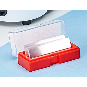 Globe Scientific 1415-10 Cover Glass, 24 x 50mm, No. 1 Thickness (Case of 10)