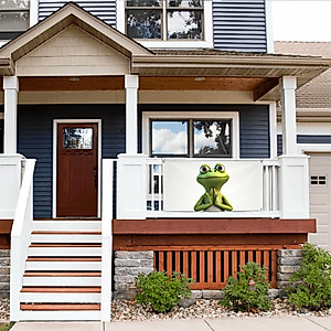 The funny frog doing yoga Printed Banners Personalized Party Banner Photo Text Background Banner Wall Banner for Halloween Party Home Decorations or Backdrops