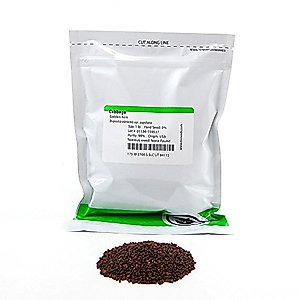 Golden Acre Cabbage Seeds: 1 Lb - Non-GMO, Heirloom Garden Seeds - Vegetable Gardening, Growing Microgreens