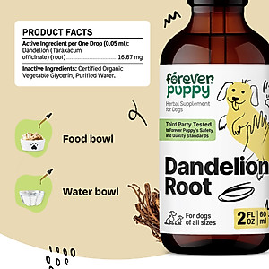 Dandelion Root Tincture for Dogs - Liver Support for Dogs w/Dandelion Root - Dog Food Supplements for Liver Health - Herbal Vitamins and Supplements for Liver Detox and Cleanse - 2 oz