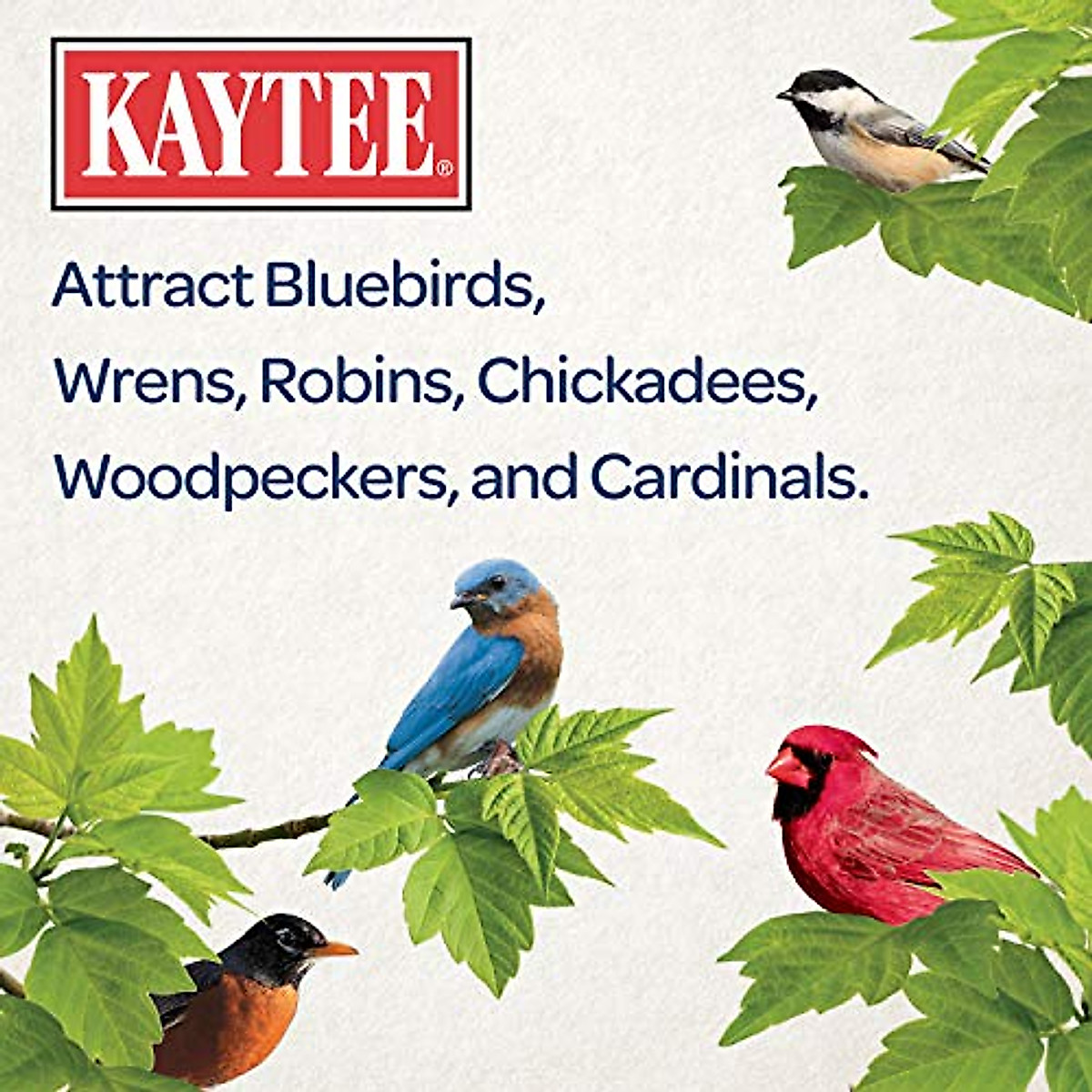 Kaytee Wild Bird Food Mealworms For Bluebirds, Wrens, Robins, Chickadees, Woodpeckers, Cardinals & Chickens, 3.5 Ounce