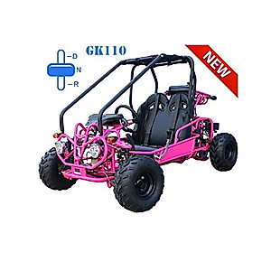 TAO Go kart 110cc with reverse