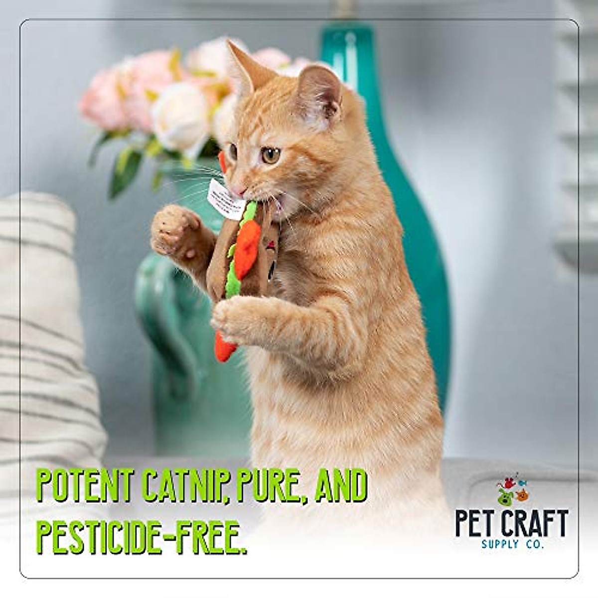 Pet Craft Supply Silly Snacks and Funny Food Crinkle Cuddling Catnip and Silvervine Interactive Cat Toys - Great for Indoor Cats and Kittens, All Breed Sizes