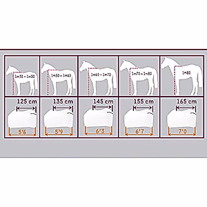 LOVEPET High-end Extra-Thick Windproof and Rainproof Winter Horse Blanket, 600D Oxford Cloth, Filled with 320g Cotton