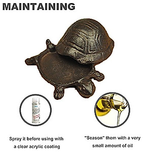 G Ganen Cast Iron Key Hider- Outdoor | Indoor Decoration- Garden Accessory- for Key | Ear Studs | Ring | Paper Clip- 1 Pcs (Turtle)