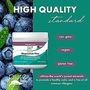 Pure Essence Labs Ionic Fizz Magnesium Plus, Anti-Stress Supplement Drink Powder, Gluten Free and Non-GMO Magnesium Powder (Mixed Berry, 6.03 Ounce (Pack of 1))