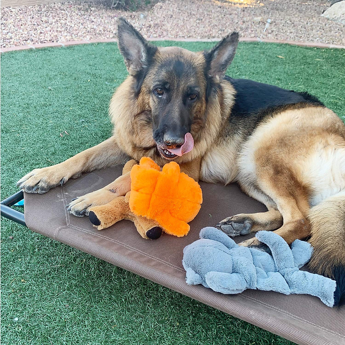 Jalousie 5 Pack 12'' Dog Toys Assortment Value Bundle Dog Plush Toys Dog Squeak Toys12 Inch Each Dog Squeaky Toys Assortment for Medium to Large Breeds - Include Raccoon Elk Hippo Fox Sloth