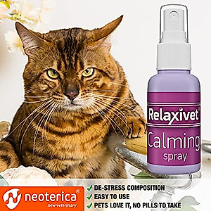 Beloved Pets Calming Pheromone Spray & Scratch Repellent for Cats - Reduce Scratching Furniture, Pee - During Travel, Fireworks, Thunder, Vet Zone - Helps to Relief Stress, Fighting, Hiding