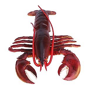 GLOGLOW Lobster Model, Artificial Lobster Seafood Model Simulation Lobster Model Plastic Lobster Decorations for Home Party Decoration Display Kids Toy(Dark-Australian Lobster, 9 in)