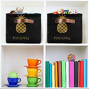 ALAZA Gold Pineapple Black Large Storage Baskets with Handles Foldable Decorative 2 Pack Storage Bins Boxes for Organizing Living Room Shelves Office Closet Clothes