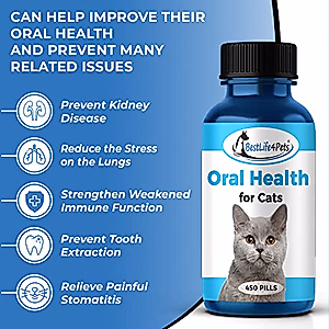 BestLife4Pets Oral Health for Cats - Cat Dental Care Supplement Anti inflammatory Pain Relief for Stomatitis Gingivitis and Gum Disease Cat Supplies for Dental Care - Easy to Use Pills (450 ct)