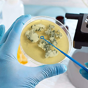 Petri Dishes with Agar, Agar Plates Prepoured Petri Dishes, 100x100mm Culture Medium Agar Plates Dextrose Agar Petri Dishes for Science Fair Projects (Pack of 10)