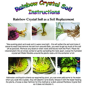 Water Beads for Vases Black 10x10g Bag Black Water Beads for Plants Non Toxic Black Wedding Decor Vase Filler Soak Water Gel Beads 8hrs In Water Makes 5 Gallon of 1/2" to 3/4" Black Water Balls Beads