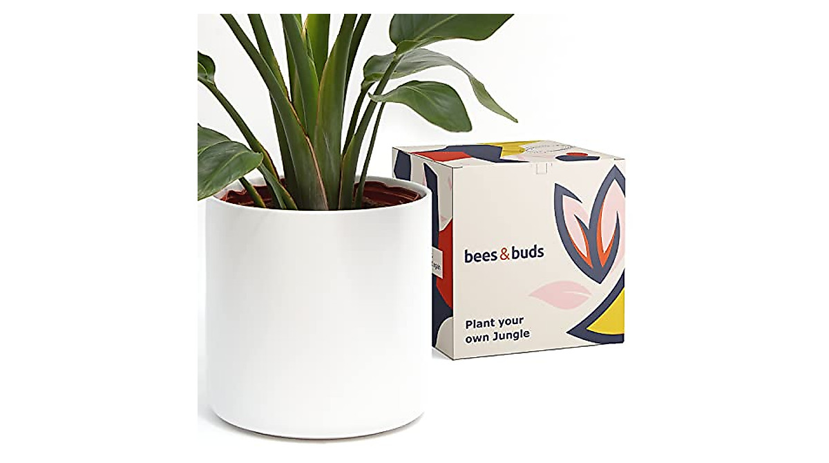 Bees & Buds 10 Inch White Plant Pot - Modern Indoor Planter