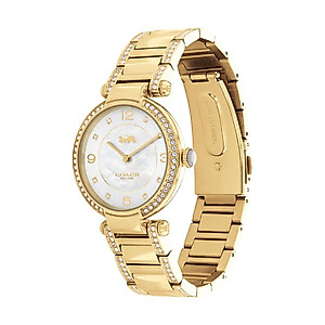 Coach Cary Women's Watch | Premium Fashion Timepiece for Her - Perfect for Day and Night | Water Resistant (Model 14503832)