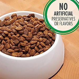 IAMS Proactive Health Adult Minichunks Dry Dog Food with Real Chicken, 15 lb. Bag