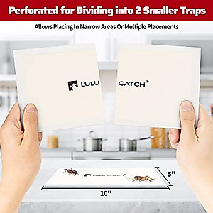 LULUCATCH Cricket Insect Glue Traps - 6 Pack Bug Traps, Cockroach Sticky Traps, Large Spider Trap with Pre-Baited Attractant, Highly Effective Glue Boards Indoor, Non-Toxic & Safe to Children, Pets