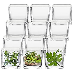 12 Pack Clear Square Glass Vases, Planter Terrarium Flowers Vase Candle Holder for Home,Garden, Wedding Centerpiece Decrations and Formal Dinners (Width 3", Height 3")