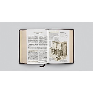 ESV Study Bible, Large Print (Buffalo Leather, Deep Brown)