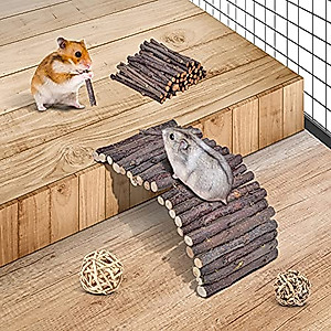 ERKOON 11 Pack Chinchillas Chew Toys, Toys Accessories for Teeth Care, Natural Apple Wood Ladder Bell Roller for Russian Hamster Gerbils Rats Guinea Pigs