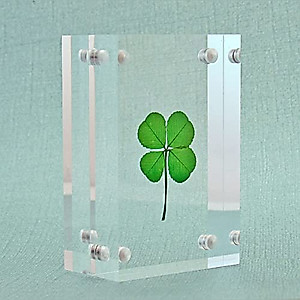 Clovers Online Genuine Preserved Four Leaf Clover Suspended in a Modern Minimalistic Clear Thick Acrylic Free Standing Block Frame for Tabletop or Desktop Decor