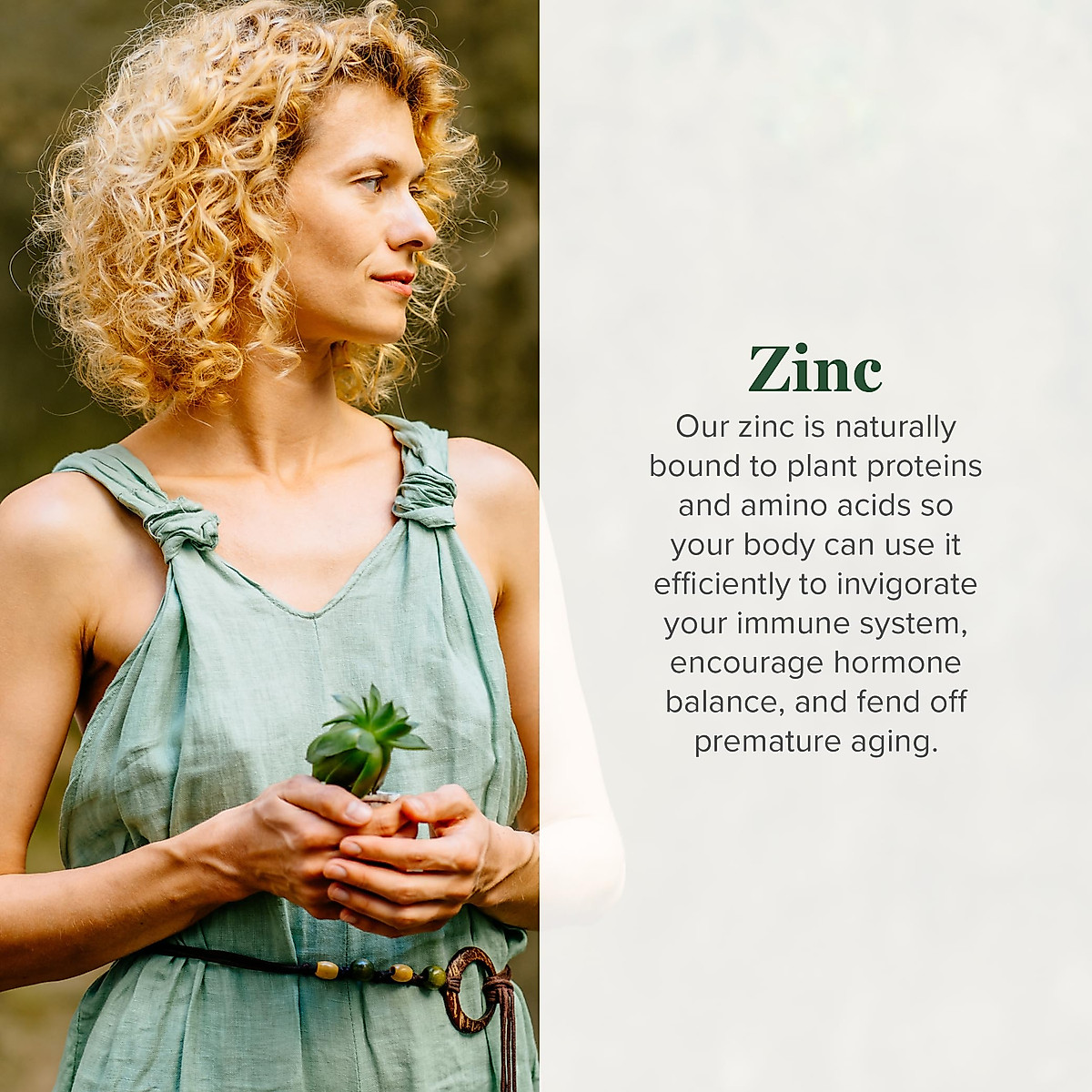 Global Healing USDA Organic Zinc Liquid Supplement - Pure Vitamin Drops for Immune System Boost, Hormone Balance, and Healthy Aging - Vegan-Friendly, Non-GMO - 2 Fl Oz