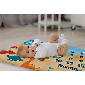 DOGGERZ Personalized Dinosaur Baby Blankets, Custom Baby Milestone Blanket with Name for Boy, Monthly Milestone Blanket, Personalized, Newborn Gifts