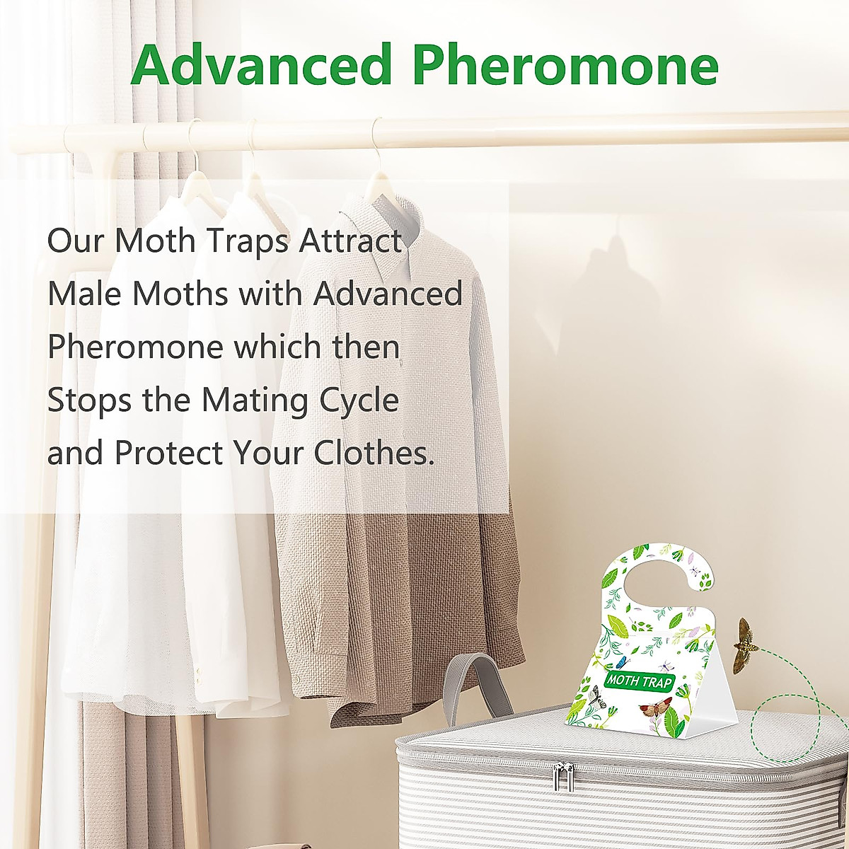 LUOJIBIE Clothes Moth Traps 5-Pack, Prime Safe Indoor Moth Traps with Pheromones for Wool Closet Carpet