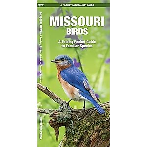 Missouri Birds: A Folding Pocket Guide to Familiar Species (Nature Observation North America)