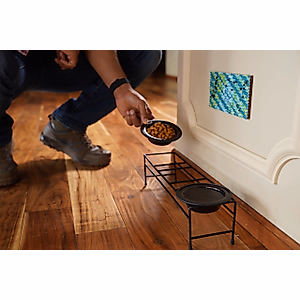 RESCUE! FlyPad – Sticky Fly Traps for Indoor & Outdoor Use - 4 Pack (8 Traps)